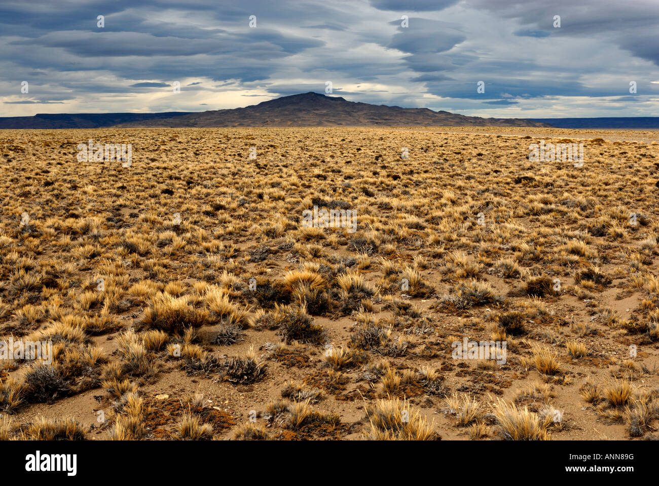 Desert desertification steppe patagonia hi-res stock photography and ...