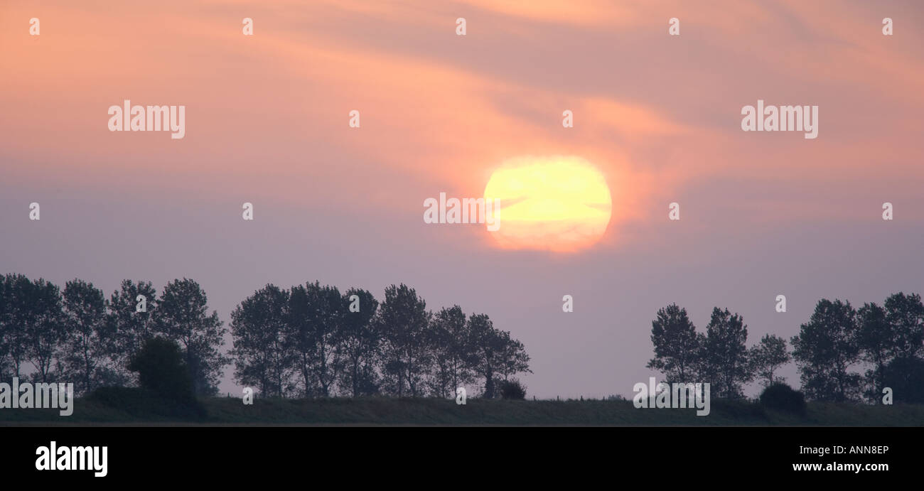 France Normandy sunset over trees Stock Photo - Alamy