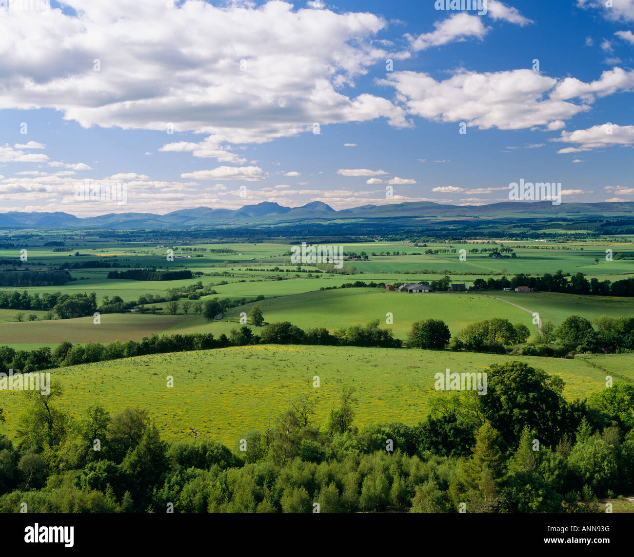Carse of Stirling, Stirling, Scotland, UK. View from Ghillies Hill ...