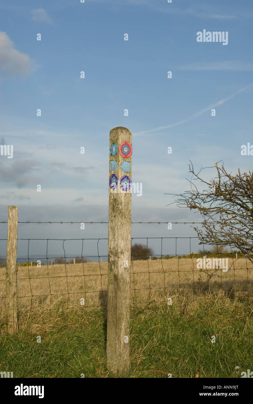 signpost in field showing directions for walkers Stock Photo - Alamy