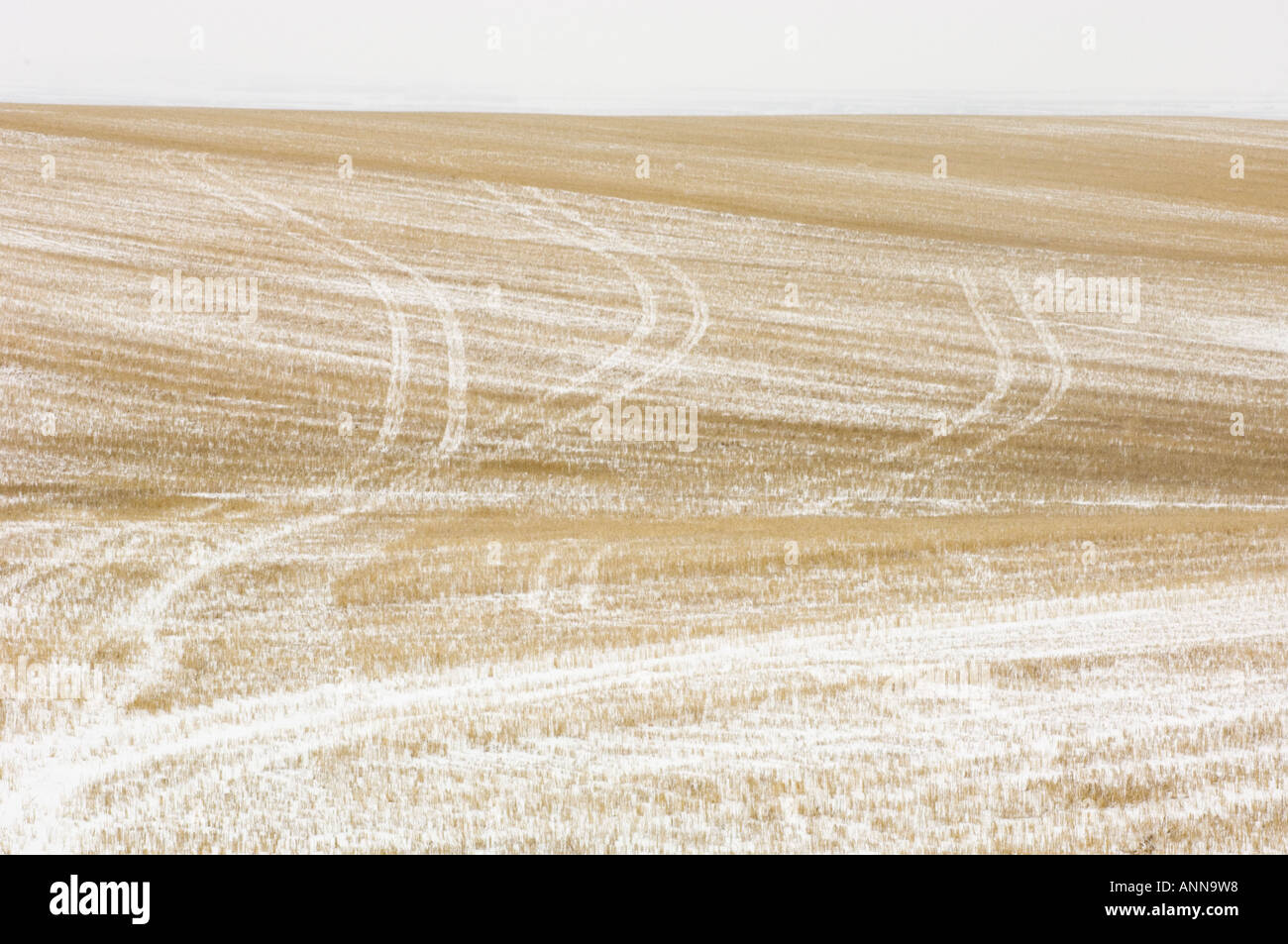 Stubblefield prairie with light snow and machine tracks, Cadillac ...