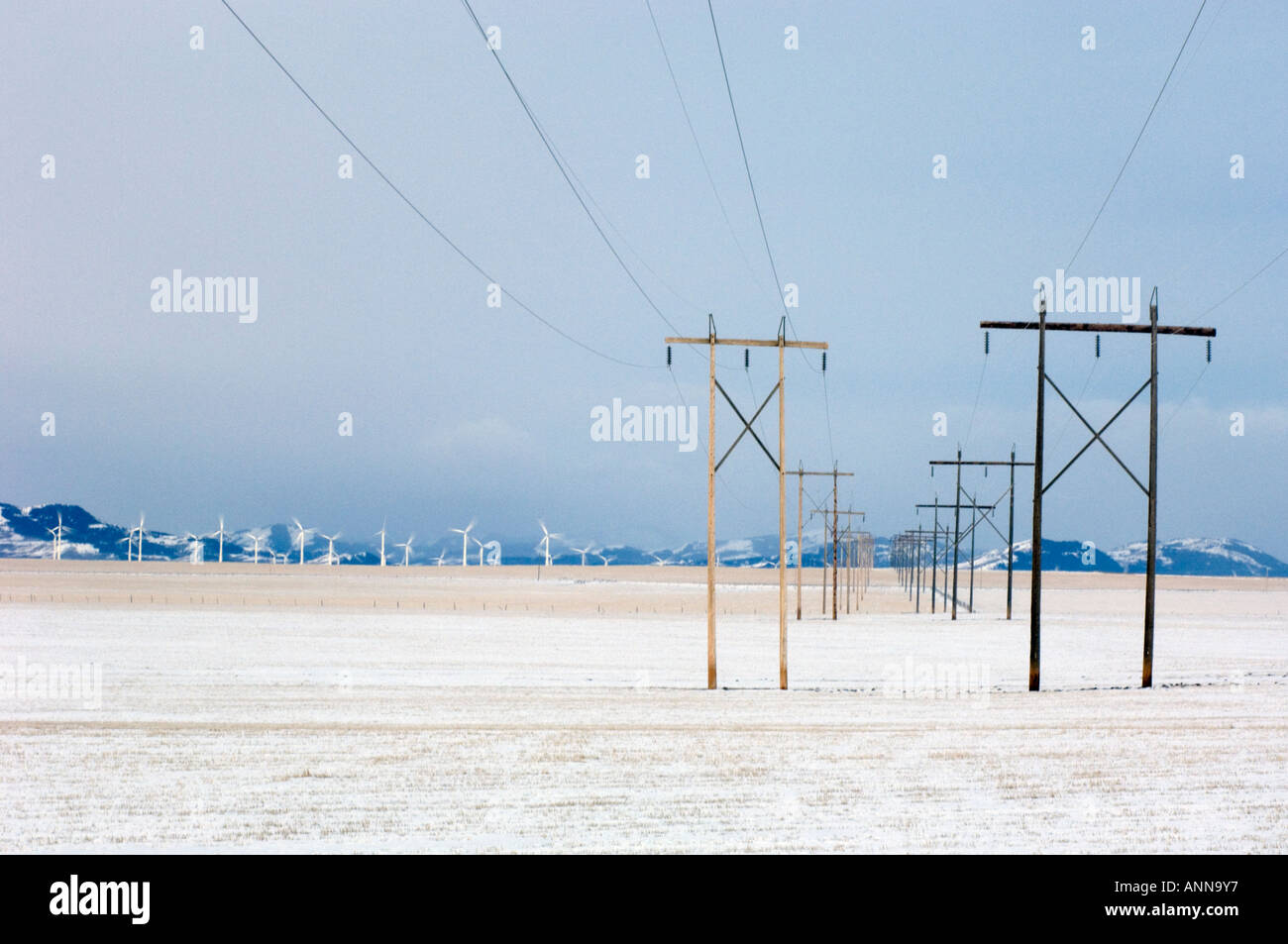 Wind Turbines and power lines, Pincher Creek, Alberta, Canada Stock ...