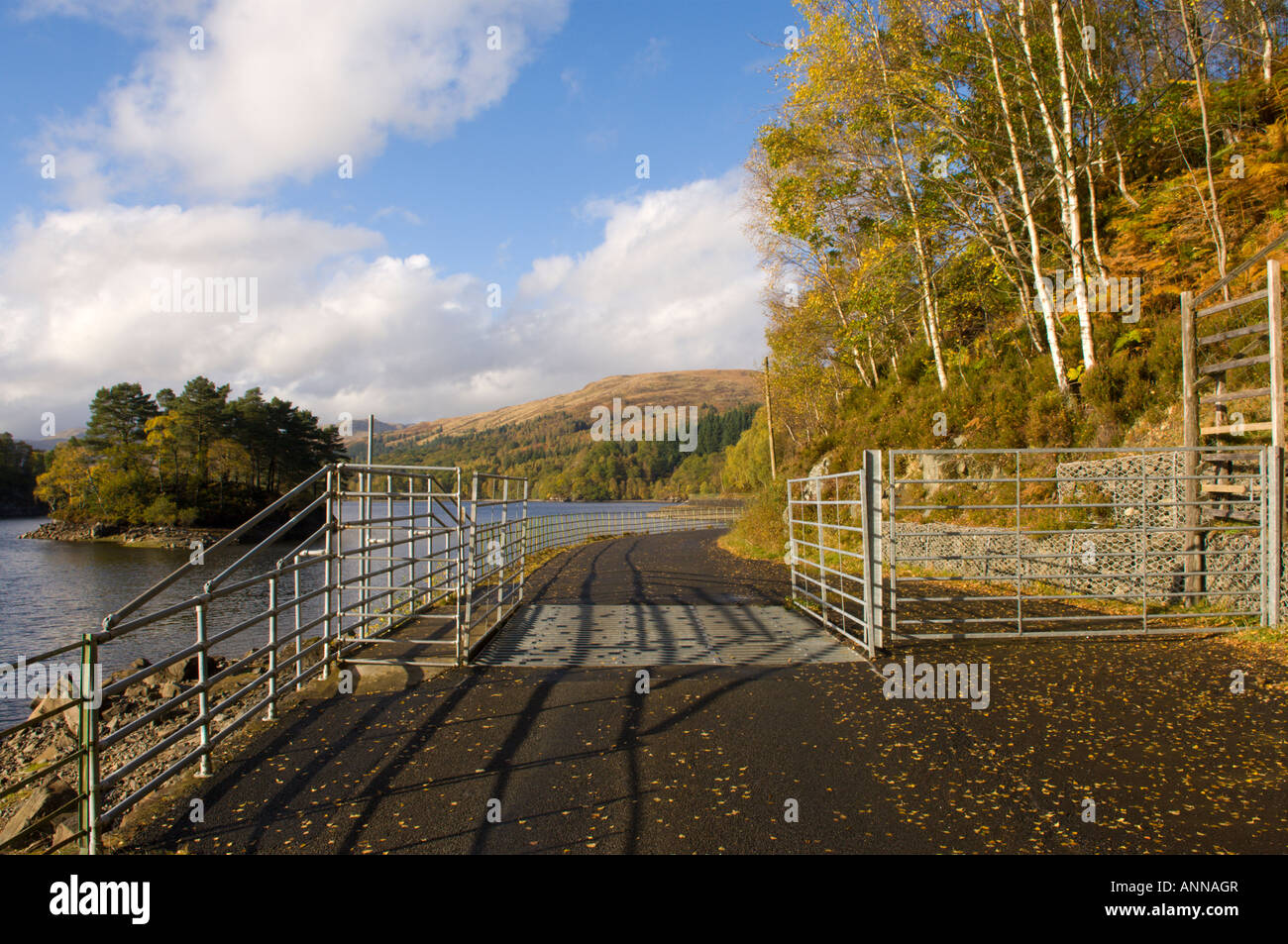 Deer grid across road, Loch Katrine, Trossachs National Park, Scotland ...