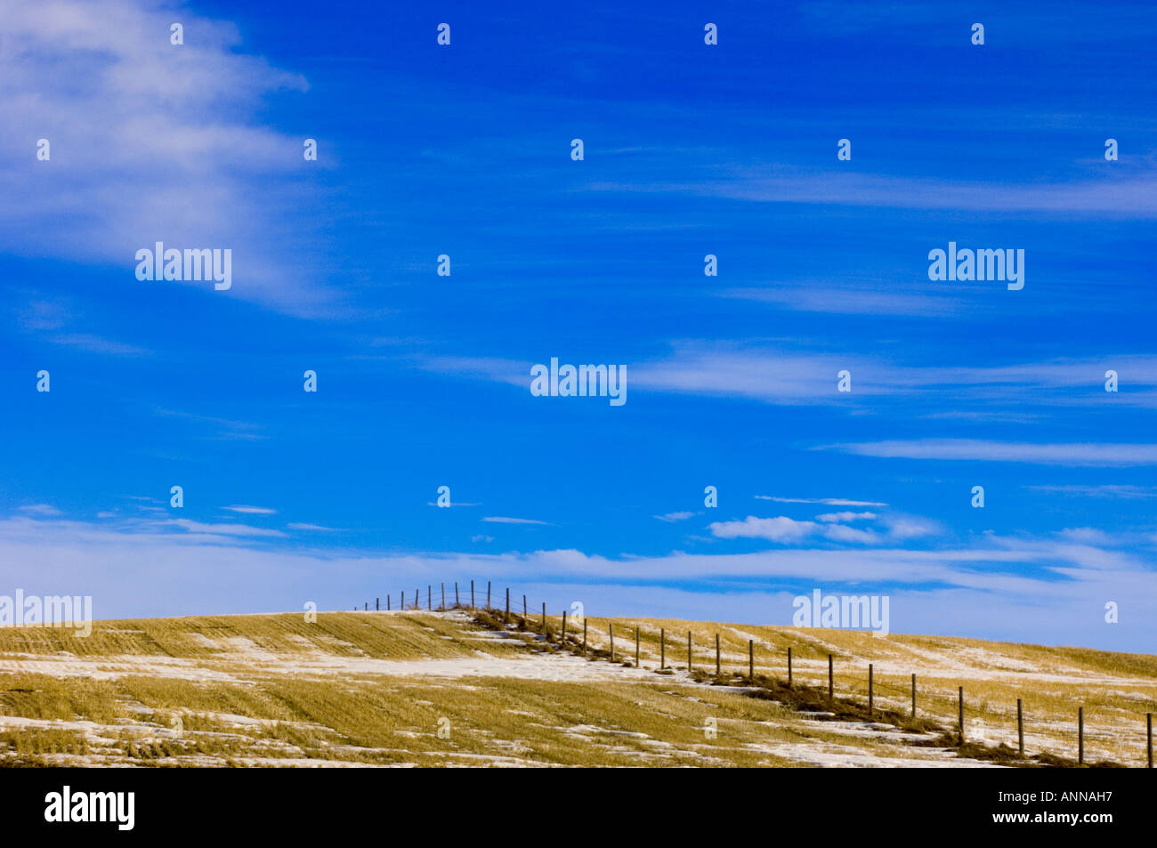 Farmland fenced low fence hi-res stock photography and images - Alamy