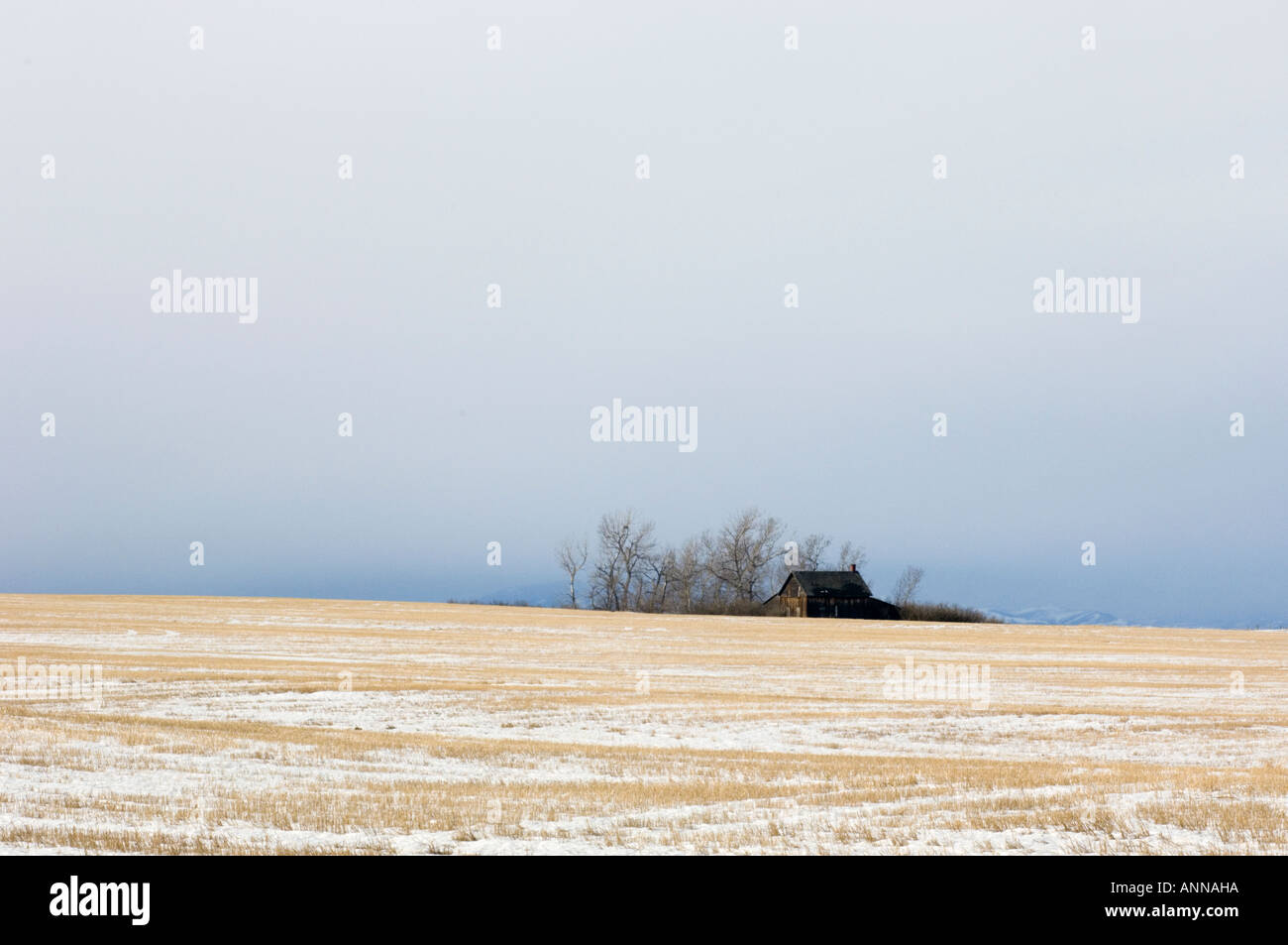 Rocky stubblefield hi-res stock photography and images - Alamy