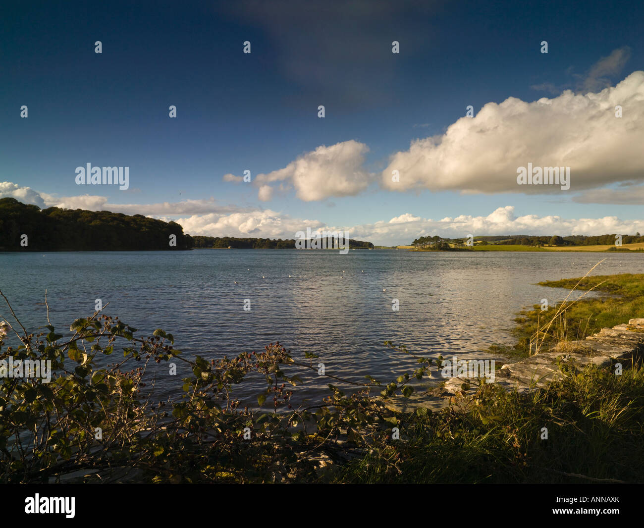 Strangford Lough, Northern Ireland Stock Photo - Alamy