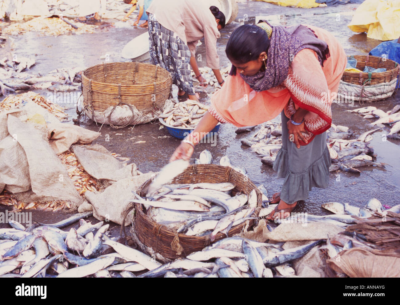 woman in fish market, Diu, Gujarat, India Stock Photo - Alamy