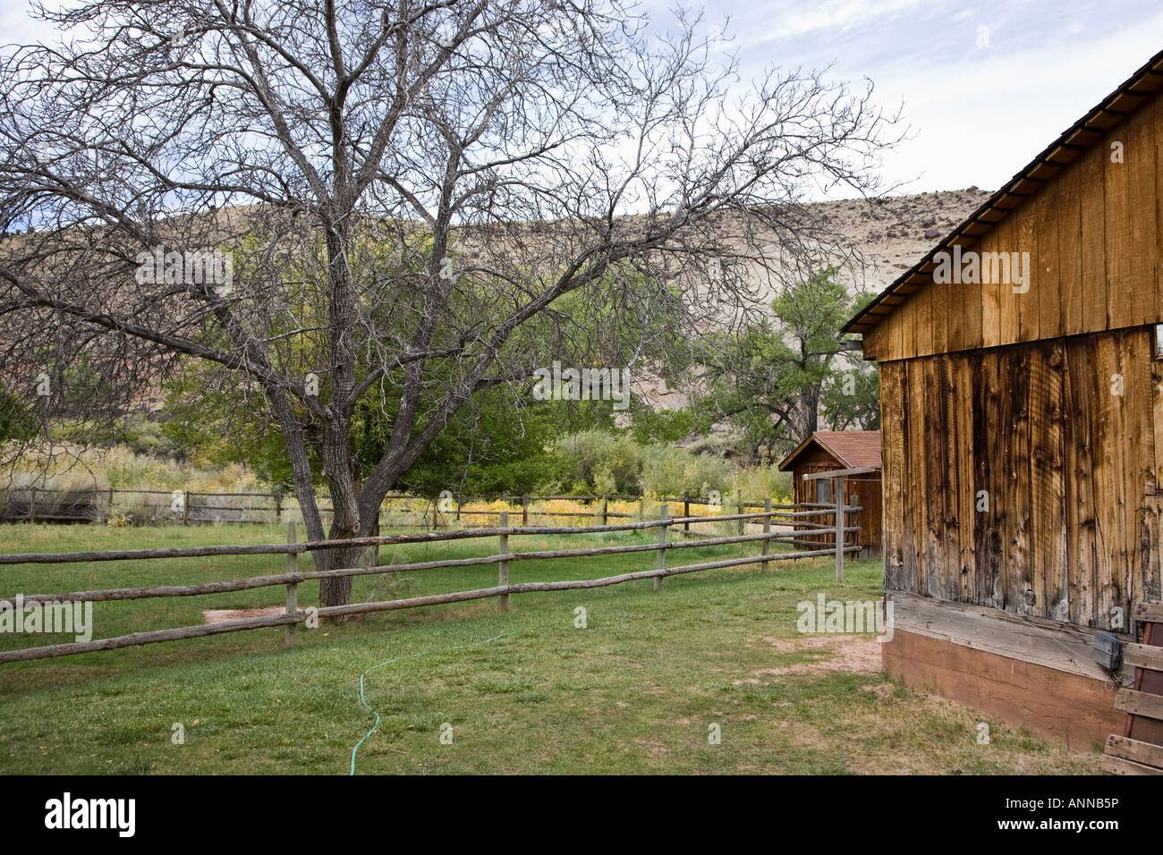 Little Farm in idyllically landscape Stock Photo - Alamy