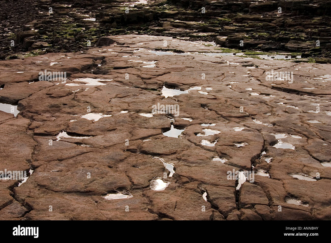 Sunlight shining on the seawater in small rock pools in the limestone ...