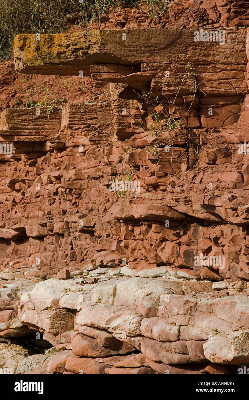 Cross section of limestone rock strata being eroded by the tide behind ...