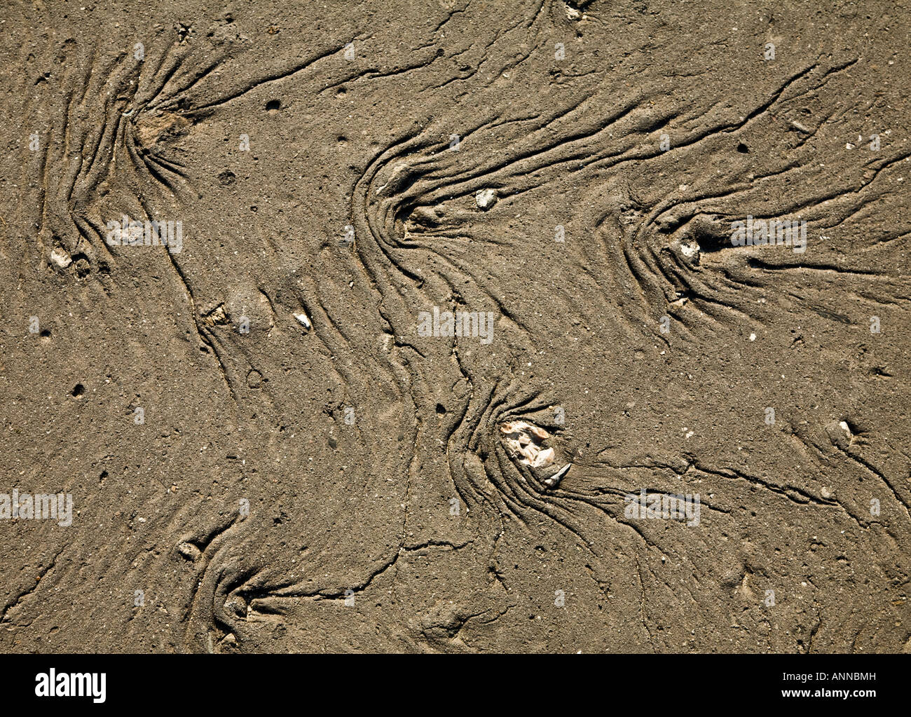 Melted tarmac pathway Stock Photo - Alamy