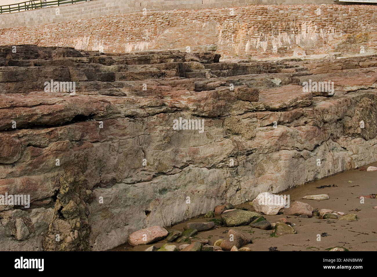Cross section of limestone slab beach at Sully SE Wales Stock Photo - Alamy