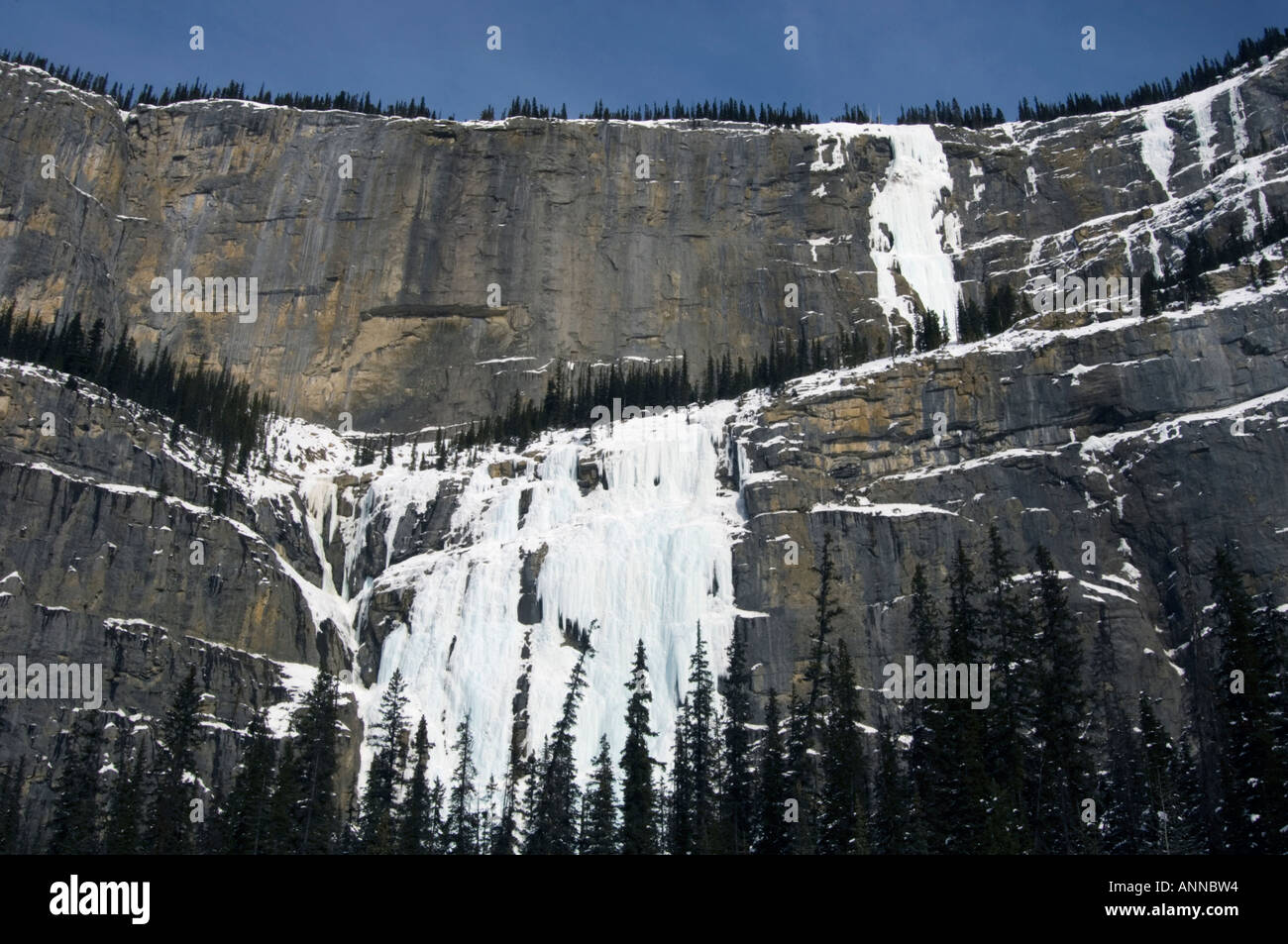 Frozen waterfall on the Weeping Wall, Icefields Parkway, Banff National ...
