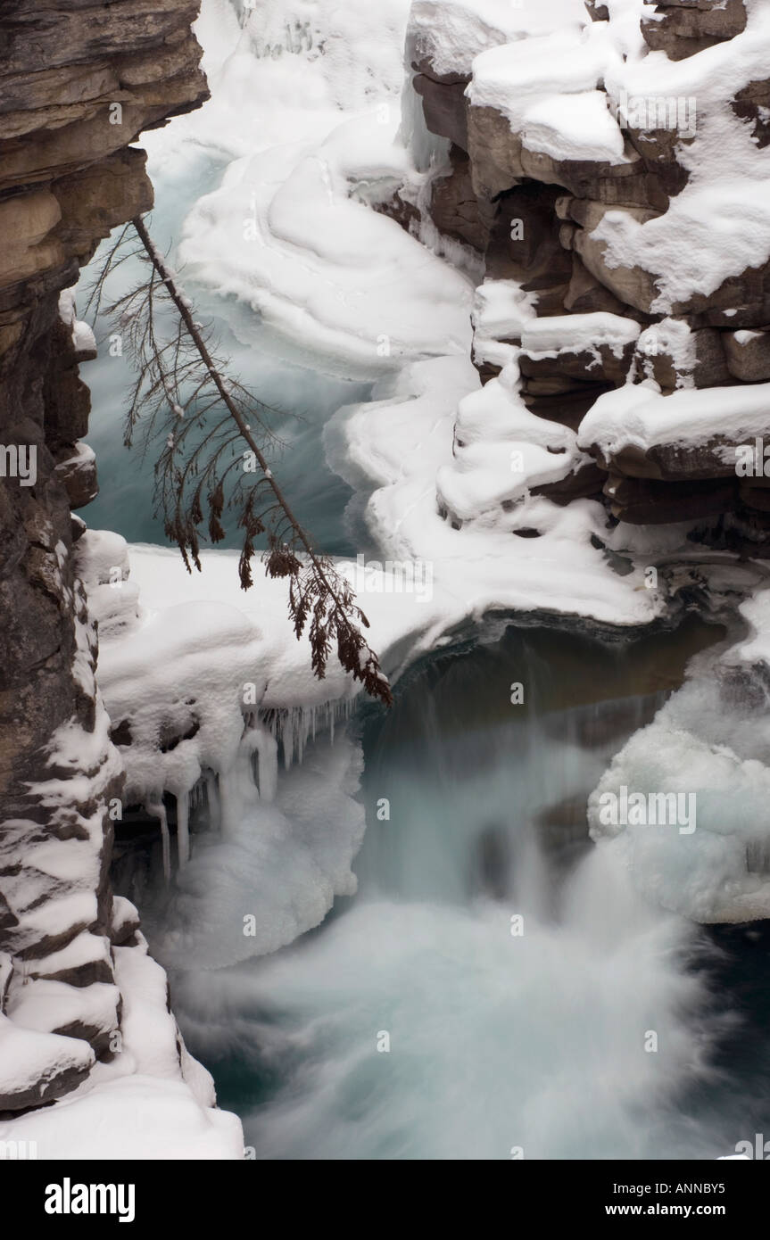 Ice formations at Athabasca Falls, Jasper National Park, Alberta ...