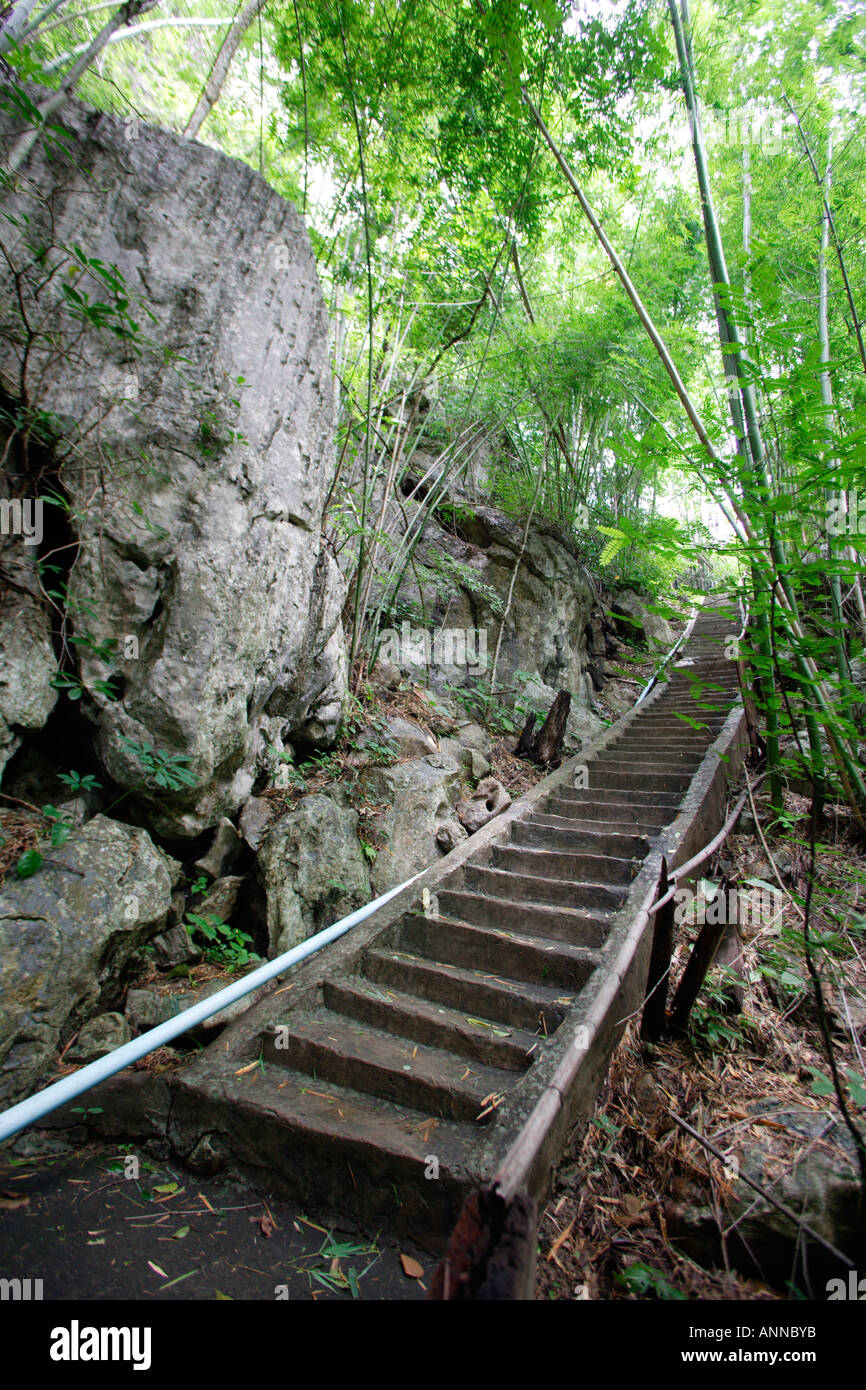 Steps up a steep climb in Forest Park in Phu Pha Lom Stock Photo - Alamy