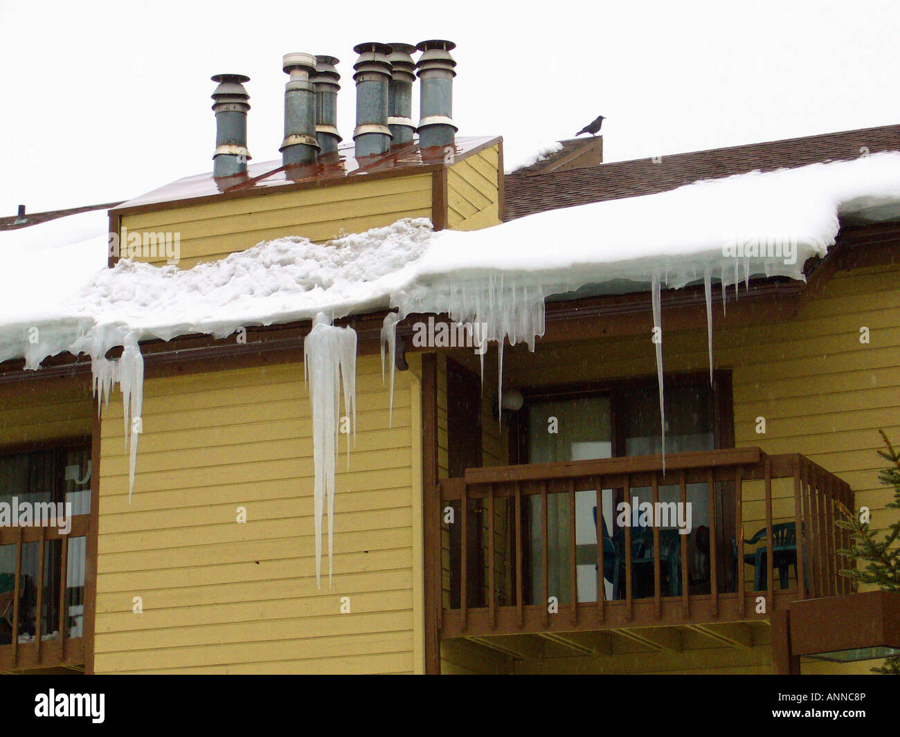 Hanging Off High Resolution Stock Photography and Images - Alamy