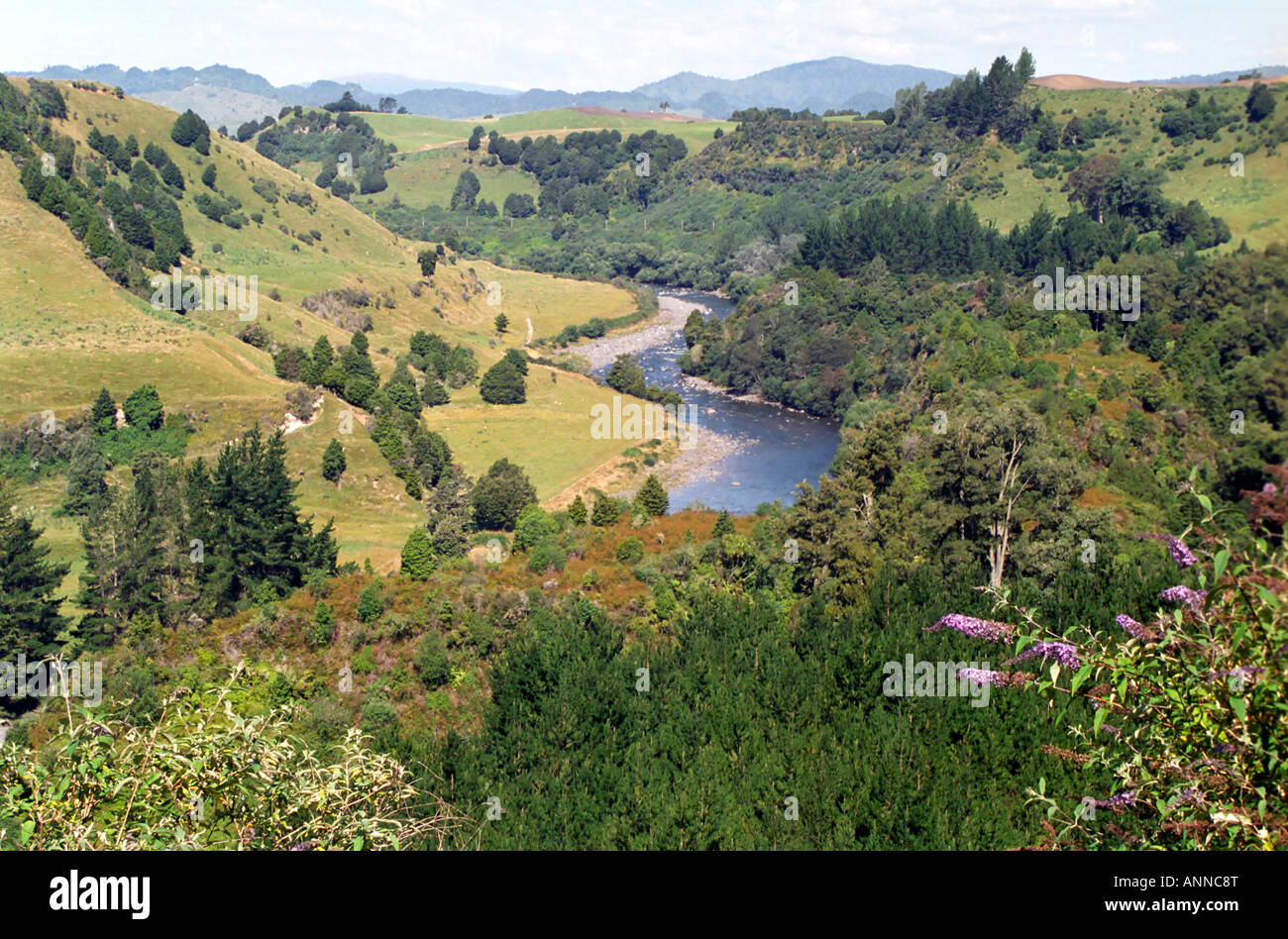 River through the countryside, Heritage Trail, North Island, New ...