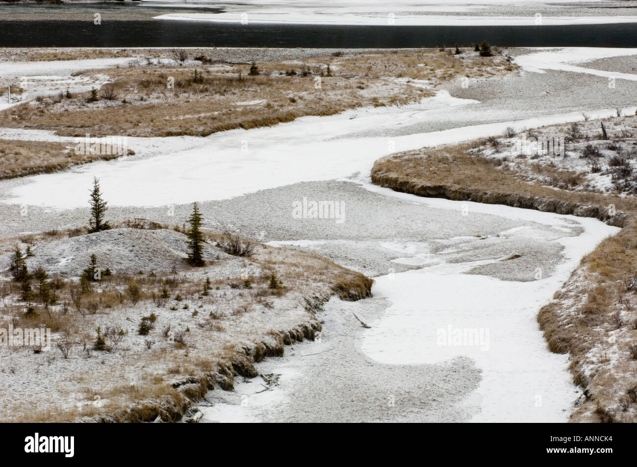 Snow-dusted meadows around branches of Athabasca River, Jasper National ...