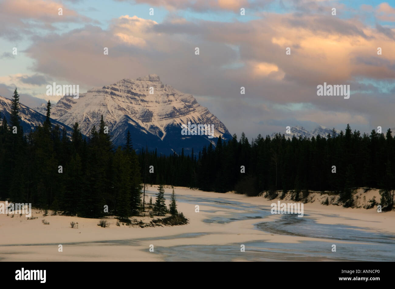 Mt. Kerkeslin and Athabasca River from Beckers Lodge near Jasper ...