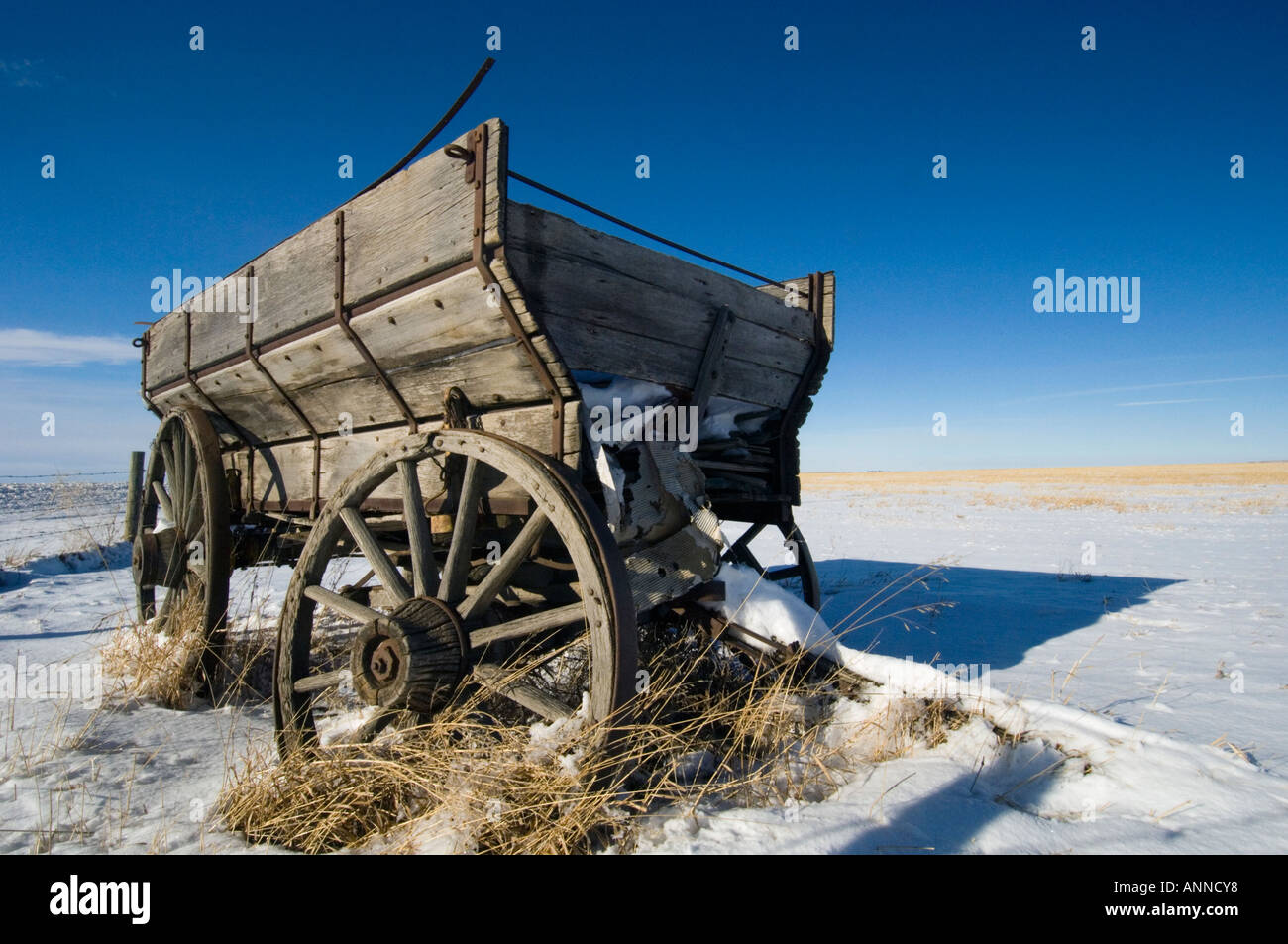 Carmangay hi-res stock photography and images - Alamy