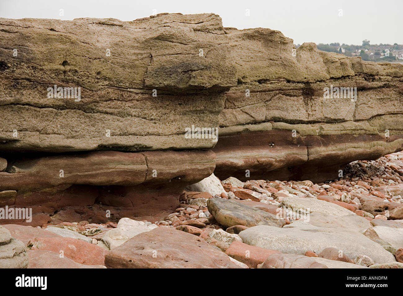 Tidal erosion undermining the limestone slab at Sully beach SE Wales ...