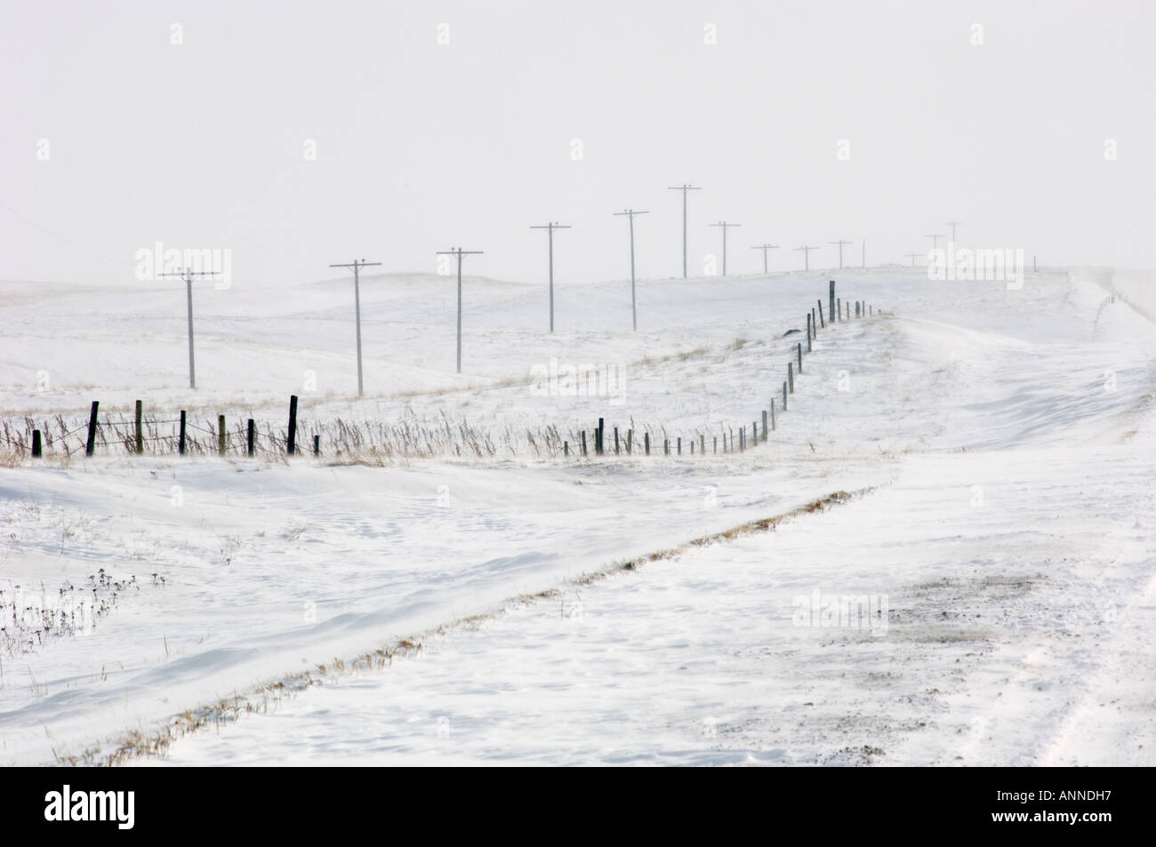 Blizzard [prairies winter storm] hi-res stock photography and images ...