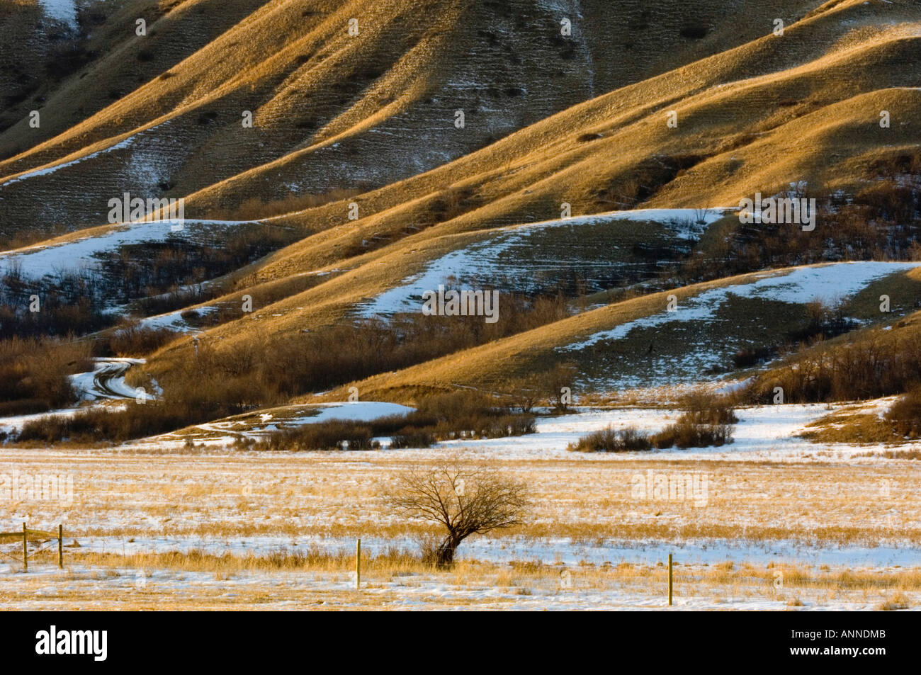 Landforms In Saskatchewan Landforms And Resources United States