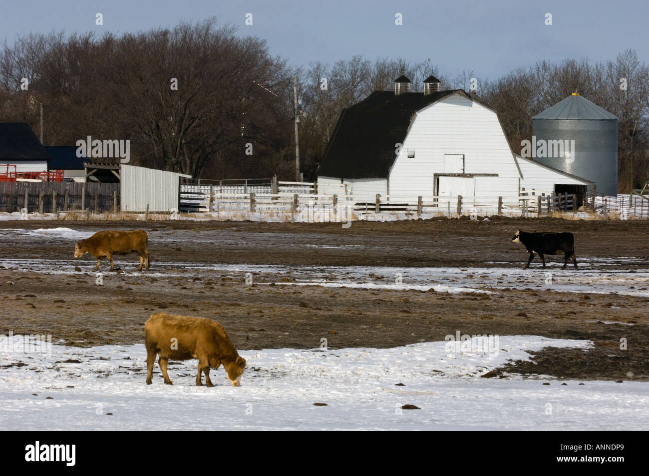 Iconic saskatchewan hi-res stock photography and images - Alamy