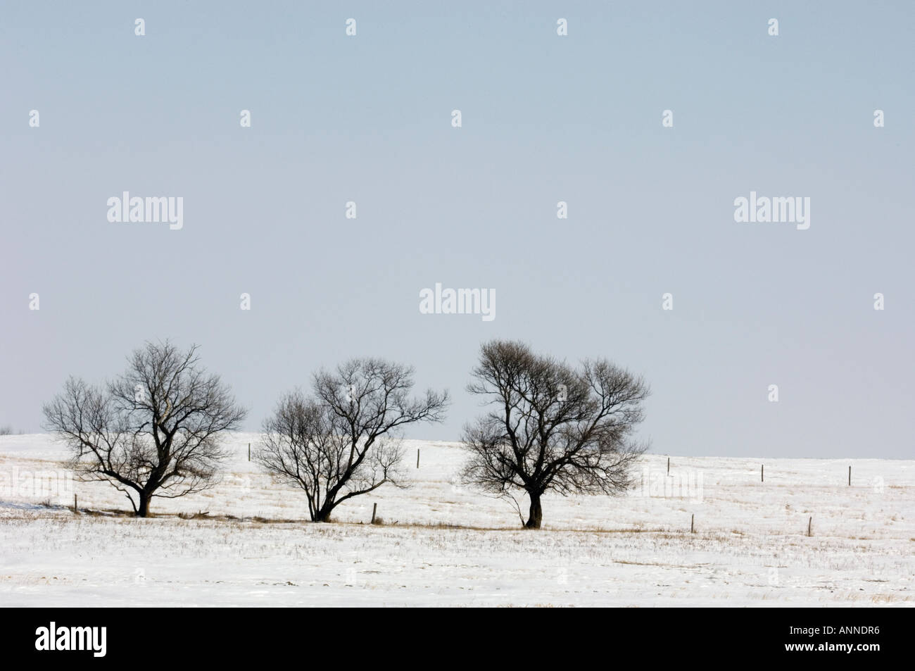 Souris manitoba hi-res stock photography and images - Alamy