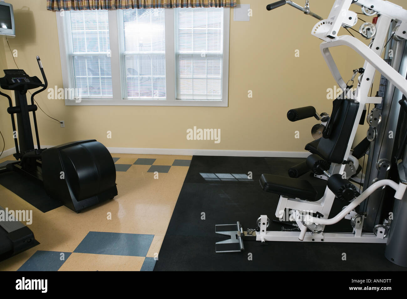 Exercise device in the gym Stock Photo - Alamy