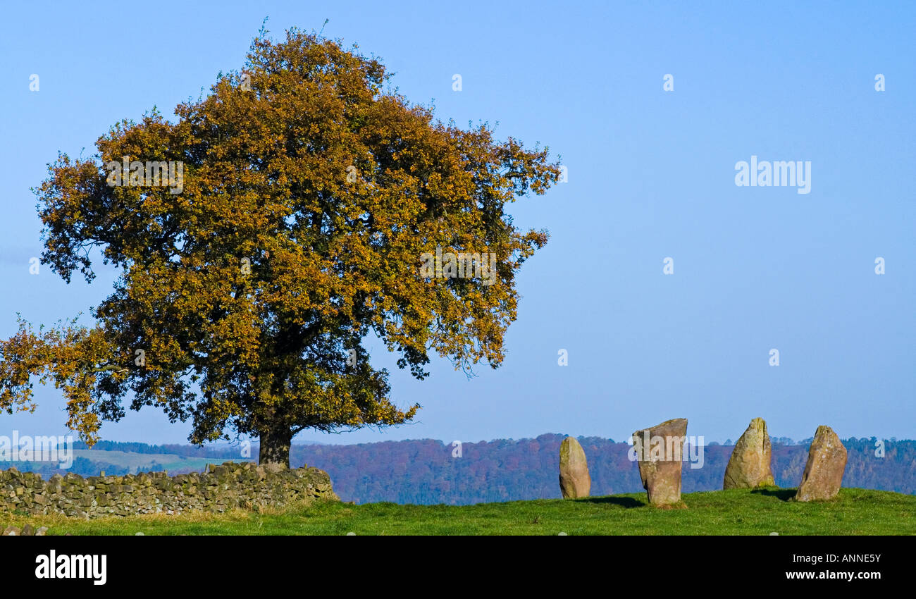 Bronze age stone circle and tree on Harthill Moor near Birchover in the ...