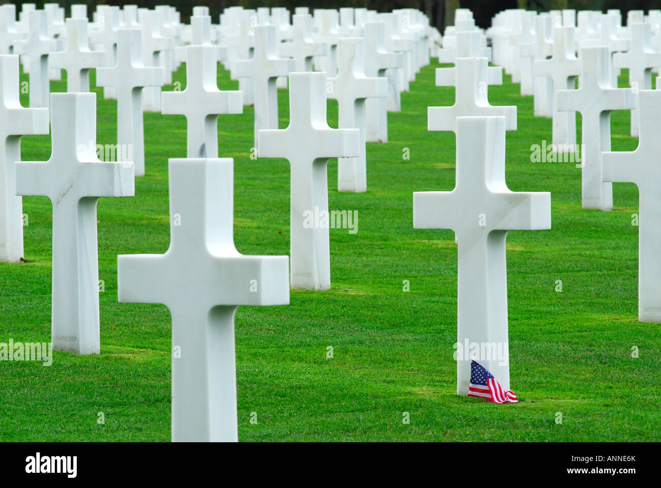 War graves in Normandy American Cemetery, Colleville-sur-Mer, Normandy ...
