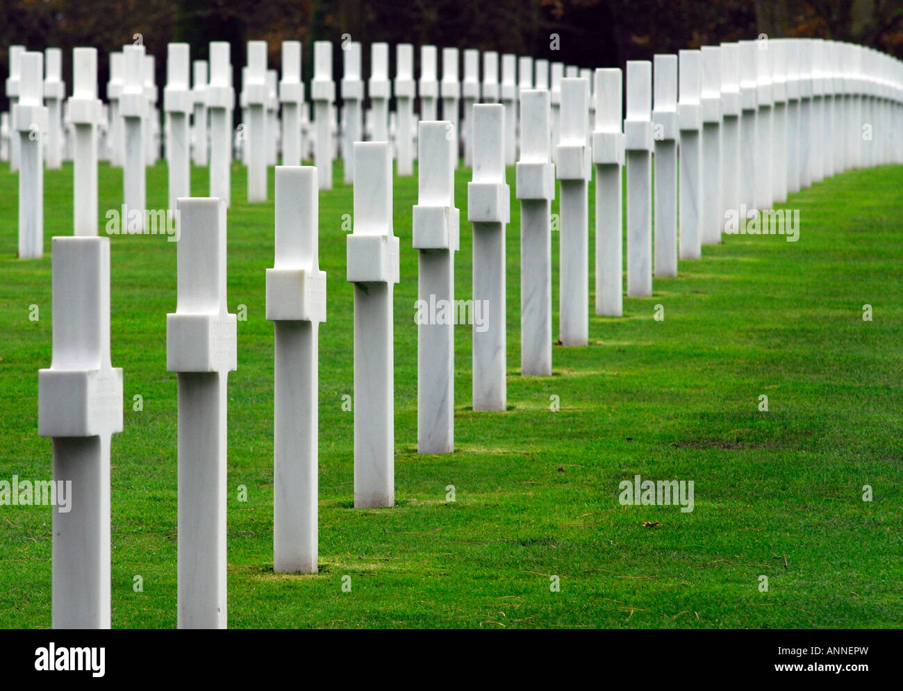 Crosses in Normandy American Cemetery, Colleville-sur-Mer, Normandy ...
