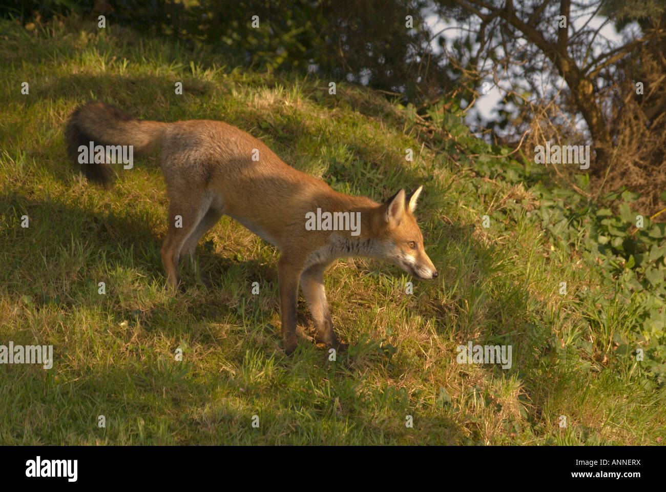 Pottery mound hi-res stock photography and images - Alamy