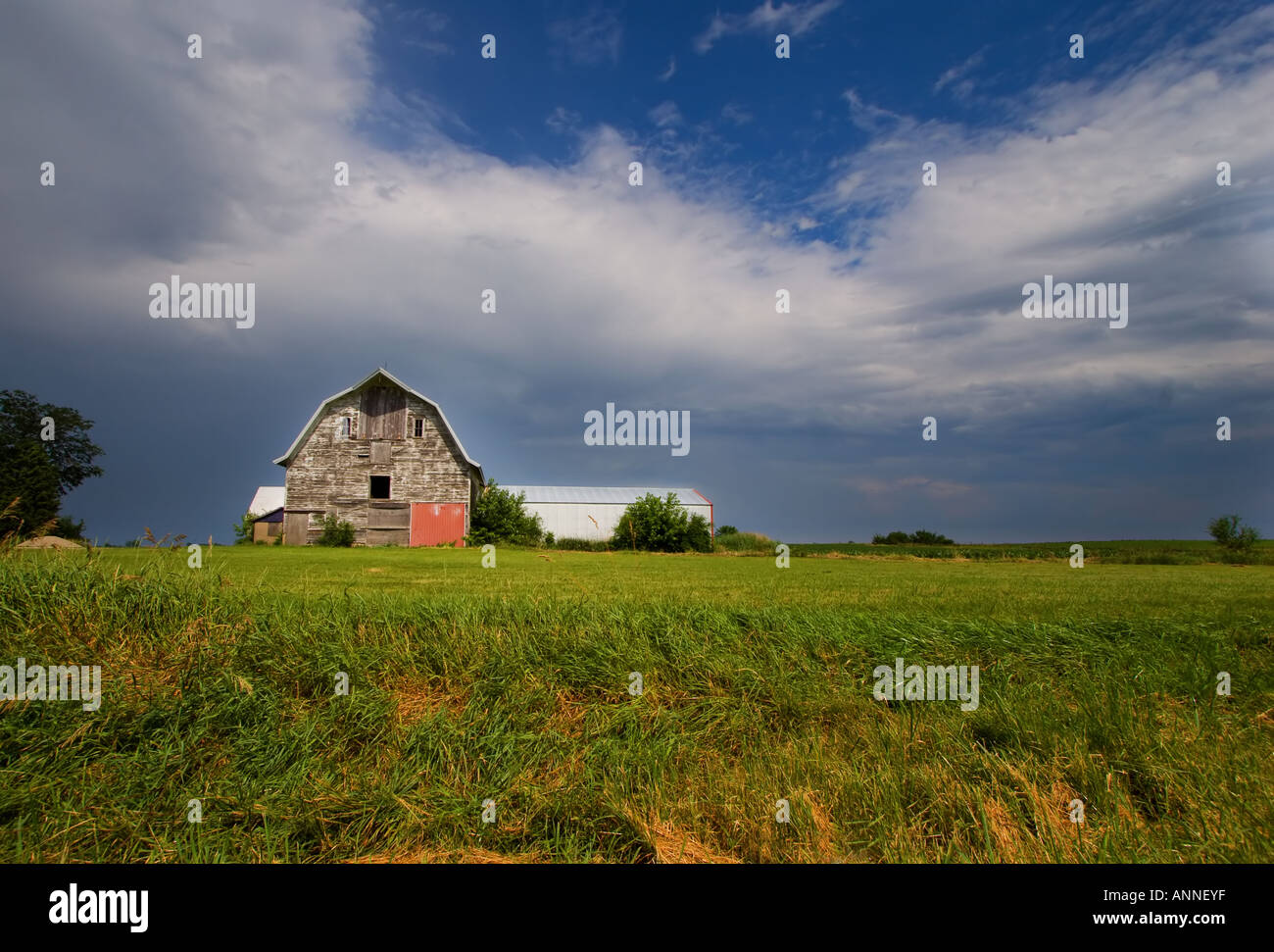Farm House and Grassy Field Stock Photo - Alamy