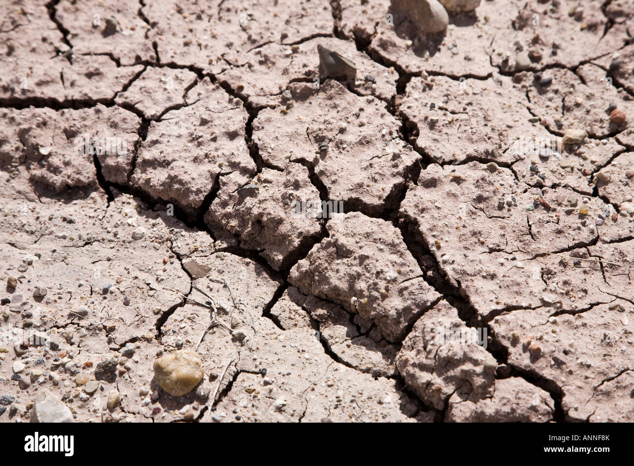 Mud cracked Earth in western Utah, USA Stock Photo - Alamy