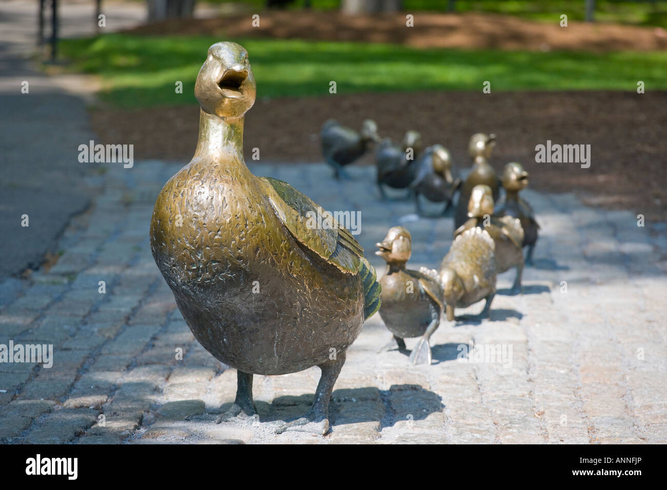 USA Massachusetts Boston common statue of ducks from the book make way ...