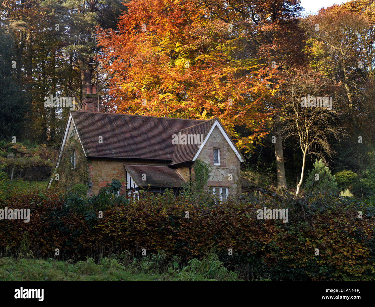 Surrey autumn house hi-res stock photography and images - Alamy