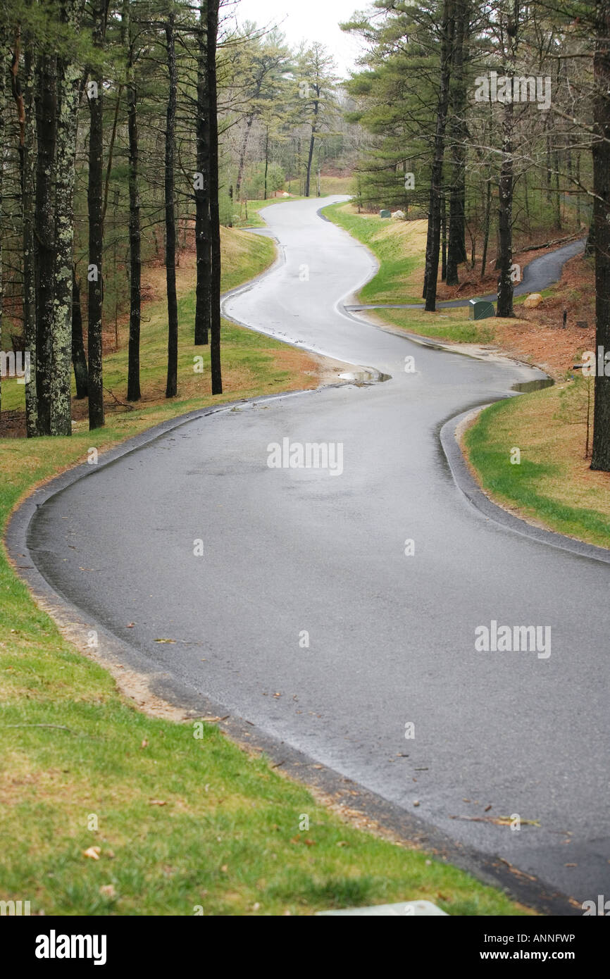View of a narrow pathway surrounded by trees Stock Photo - Alamy