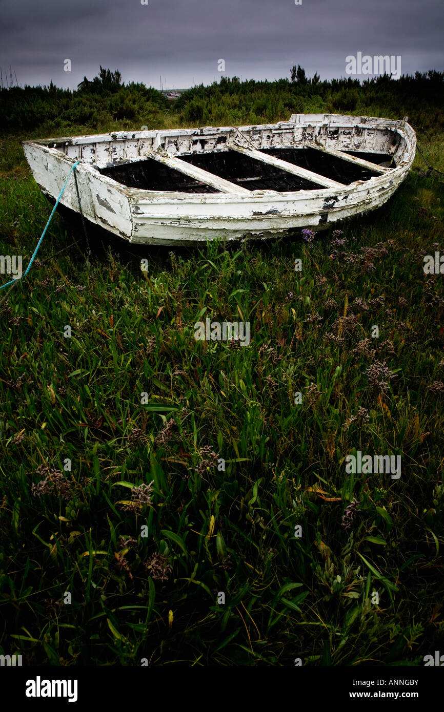 Old rowing boat beached on a marsh Stock Photo - Alamy