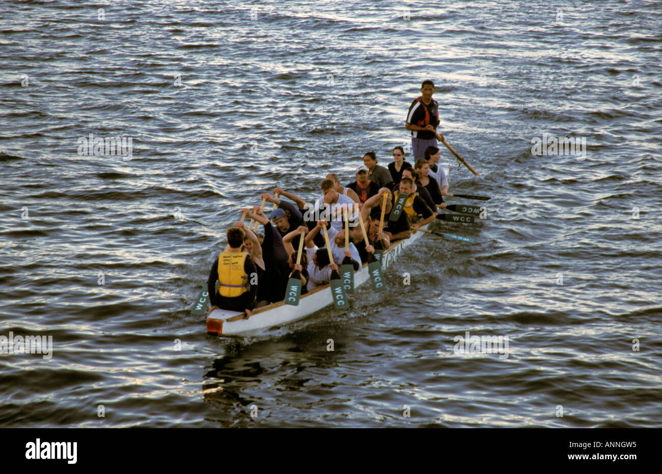 New Zealand Wellington Boat with Oarsmen Stock Photo - Alamy