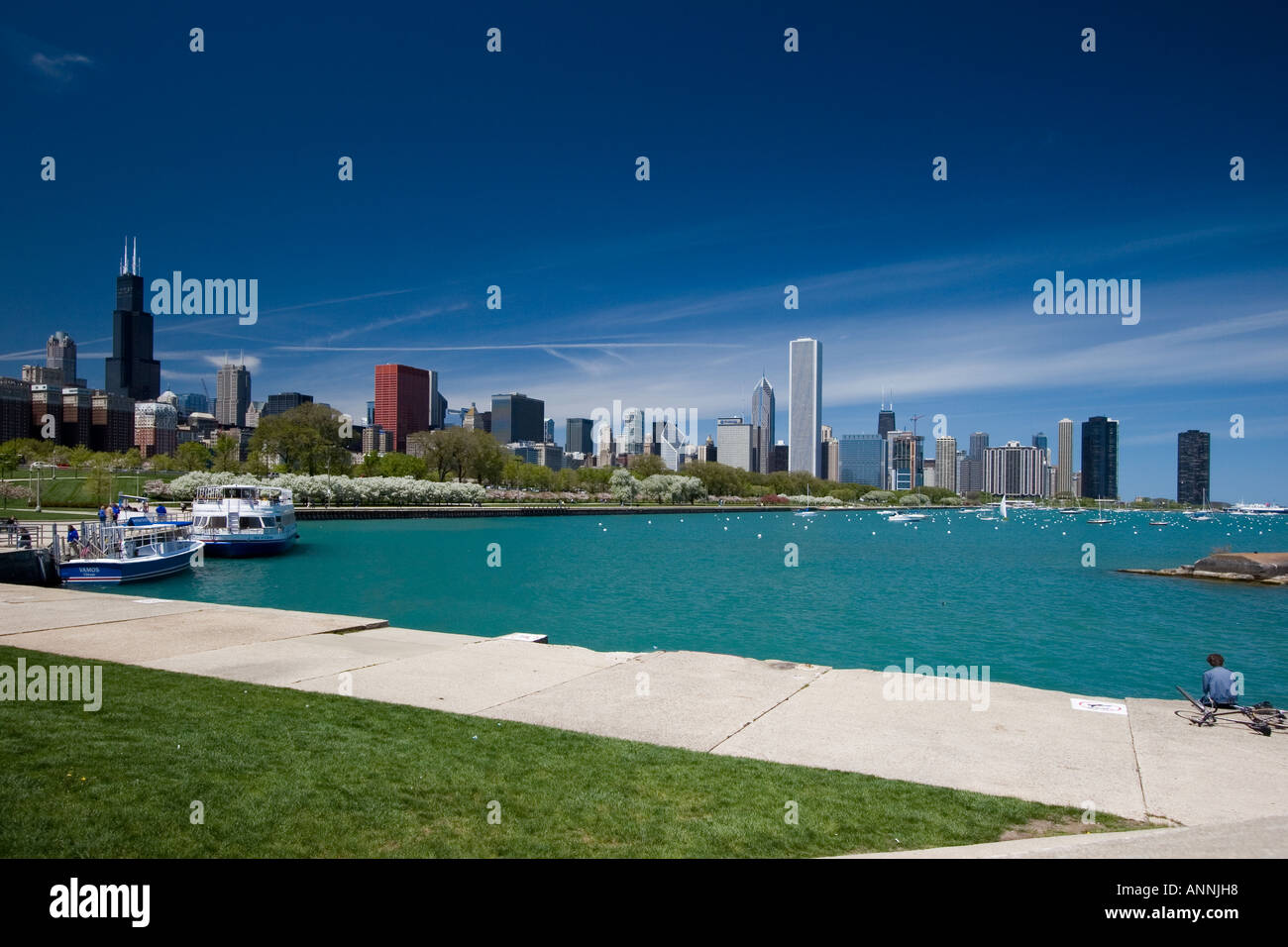 Lakefront view of The Chicago Skyline including The Sears Tower Stock ...