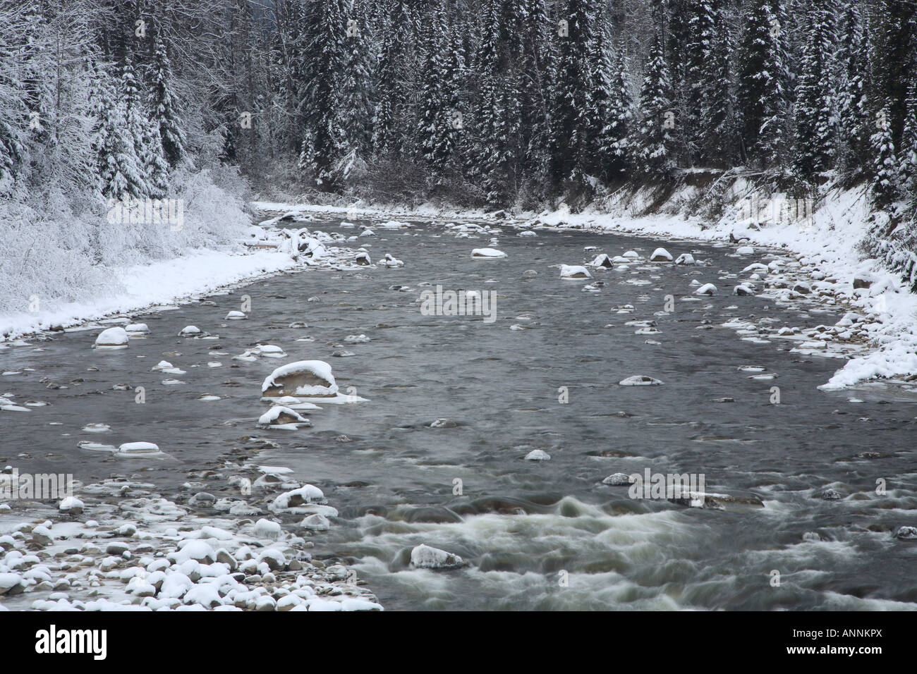 Telkwa River in winter Telkwa British Columbia Stock Photo - Alamy
