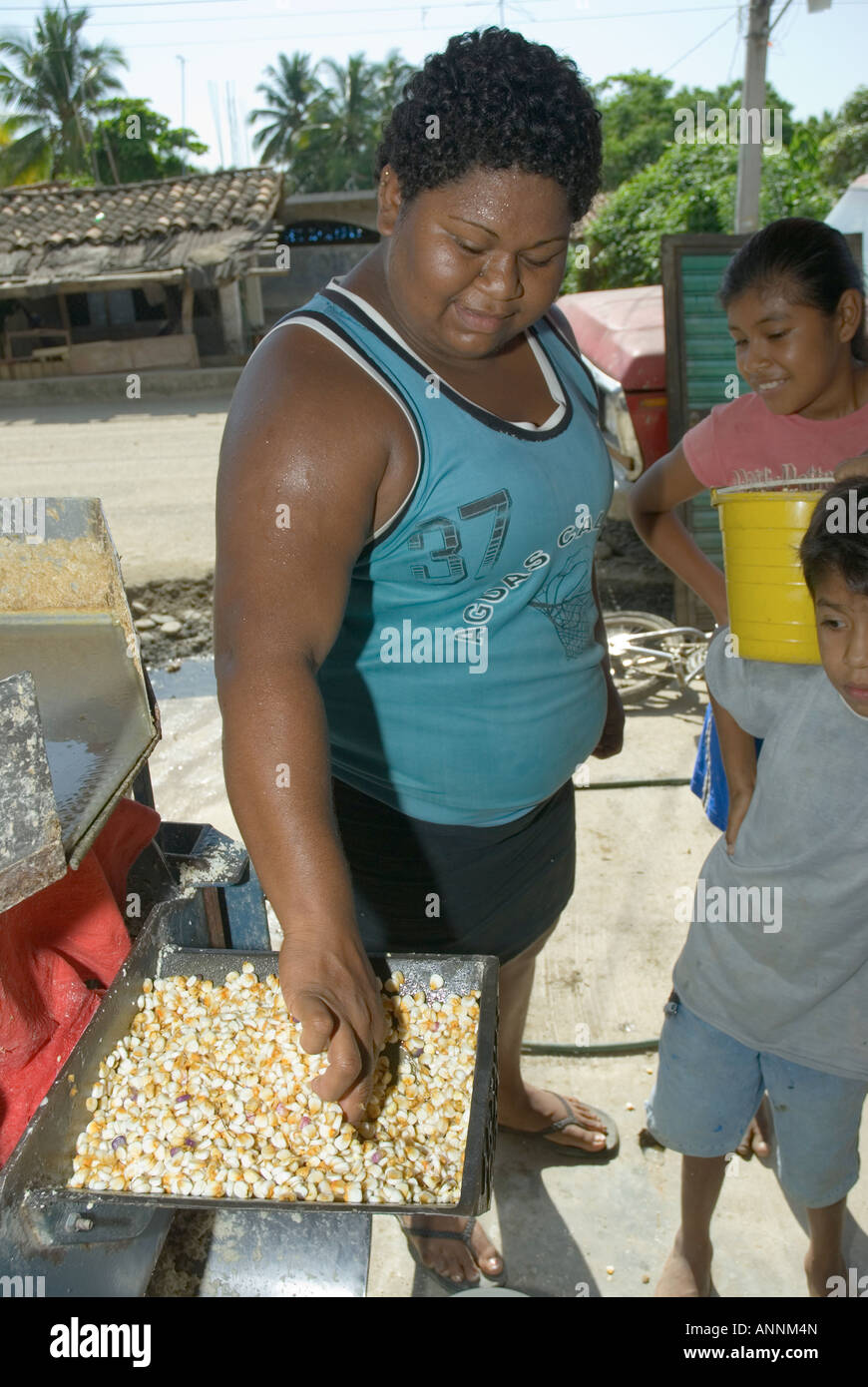 Corn maize grinding grain hi-res stock photography and images - Alamy