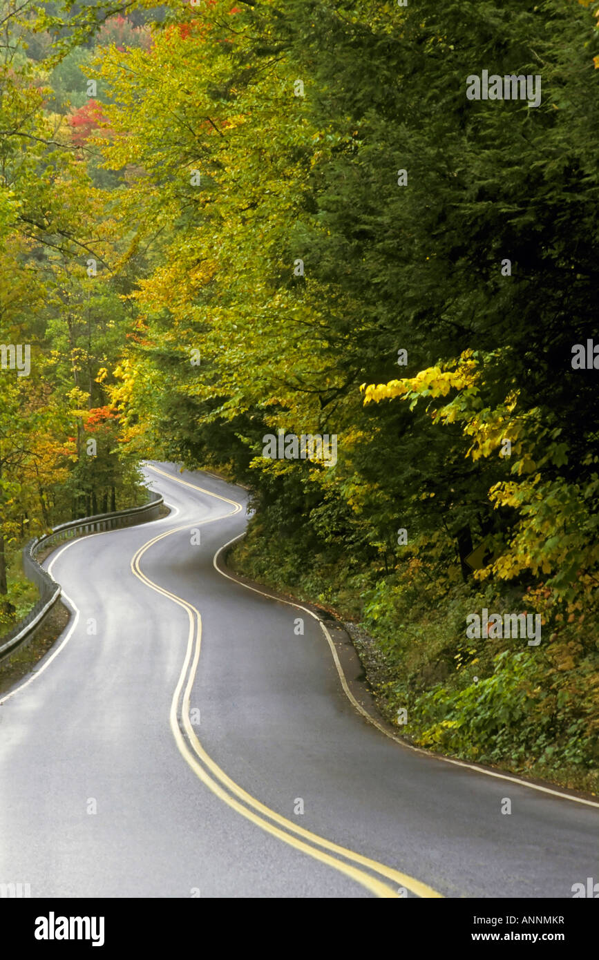 Usa 125 hi-res stock photography and images - Alamy