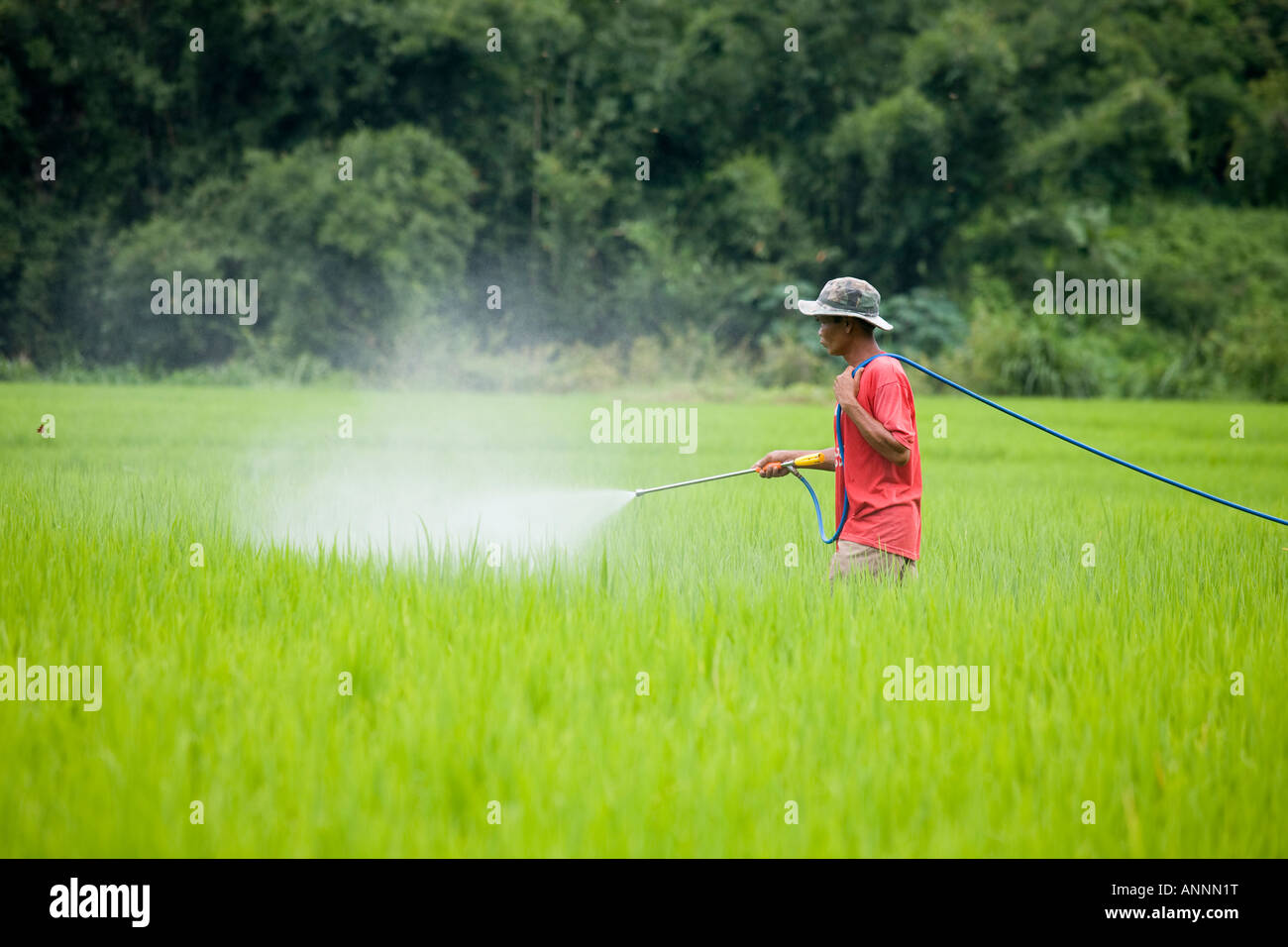 Malay workers hi-res stock photography and images - Alamy