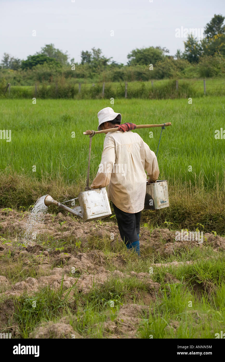 Lowland lao hi-res stock photography and images - Alamy