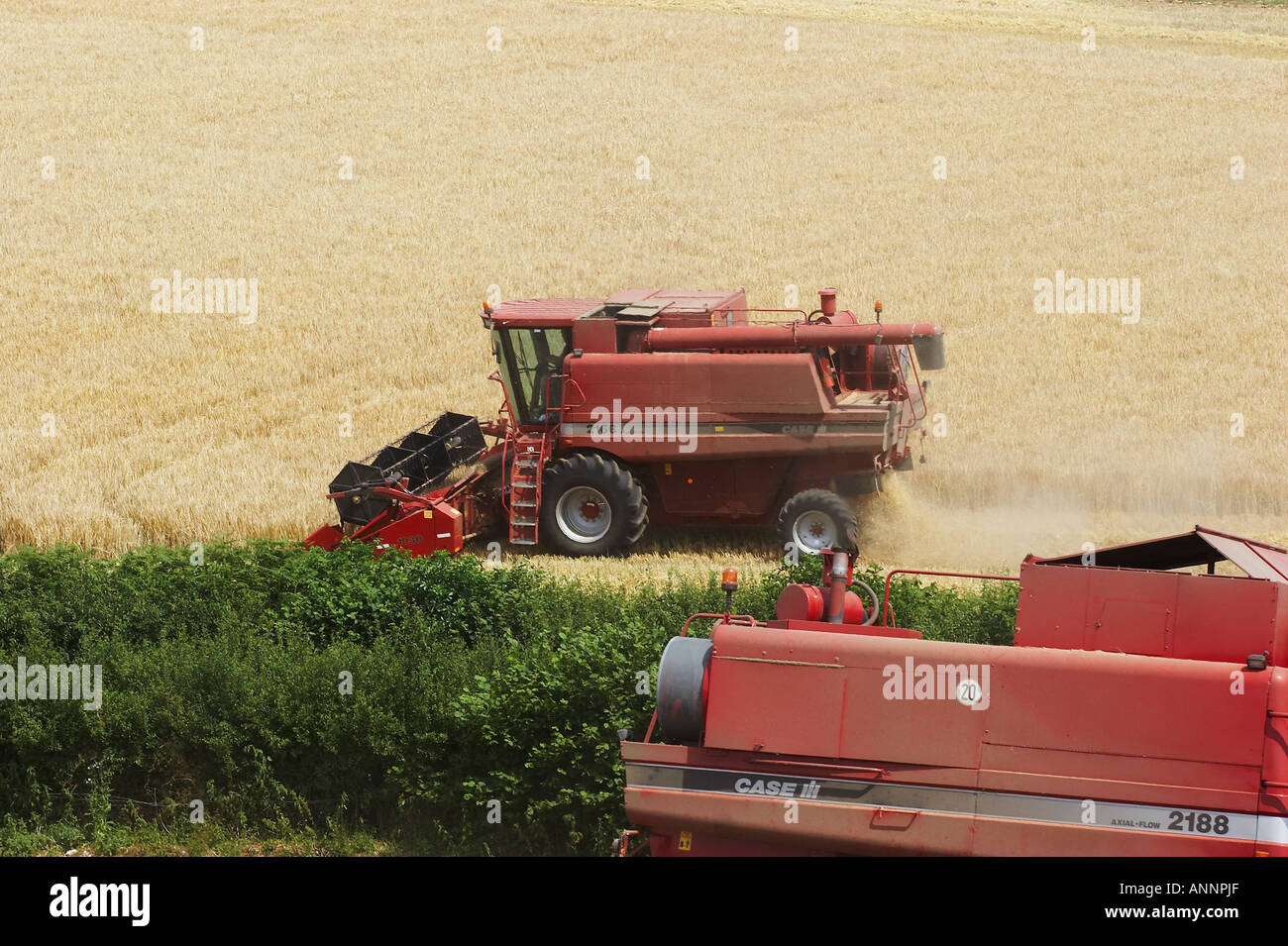 Two combine harvesters working in adjoining fields Stock Photo - Alamy