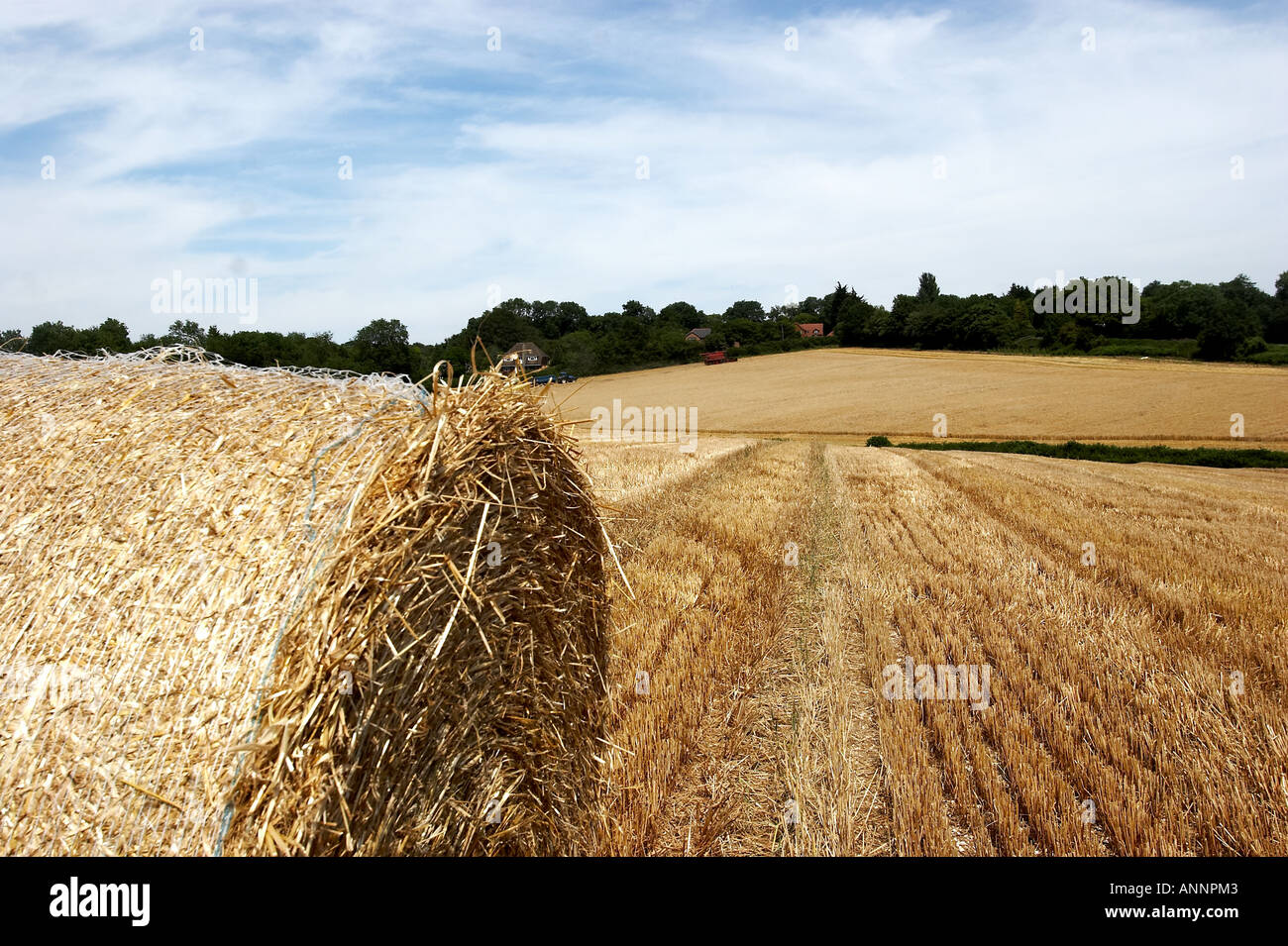 Straw bails on a from a barley harvest Stock Photo - Alamy