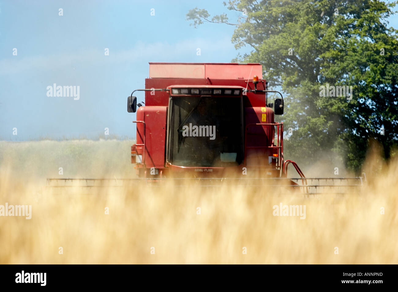 Barley being harvested at farm in Ropley Stock Photo - Alamy